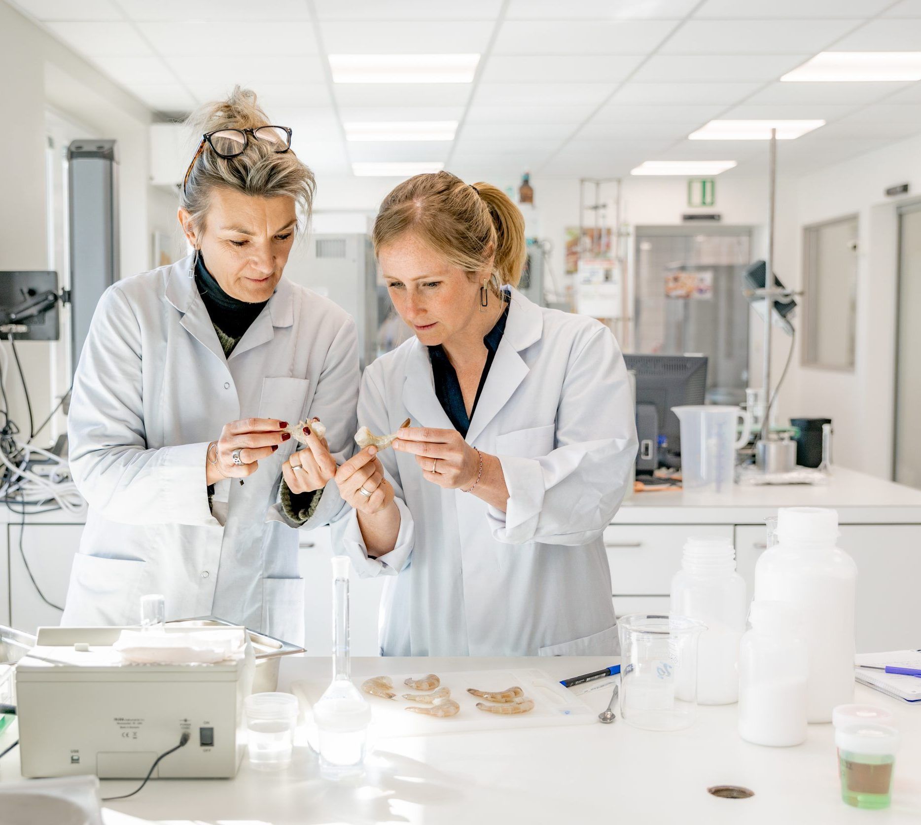 Our services | Prayon